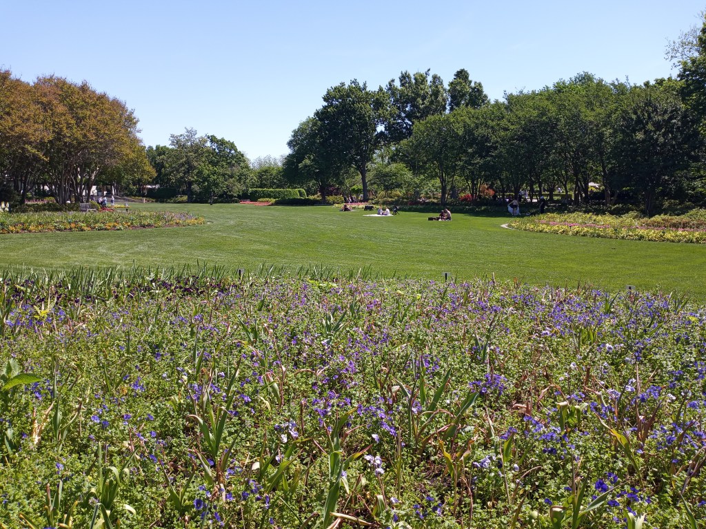 Dallas Arboretum and Botanical Garden - Psychic Medium Andrea Knight