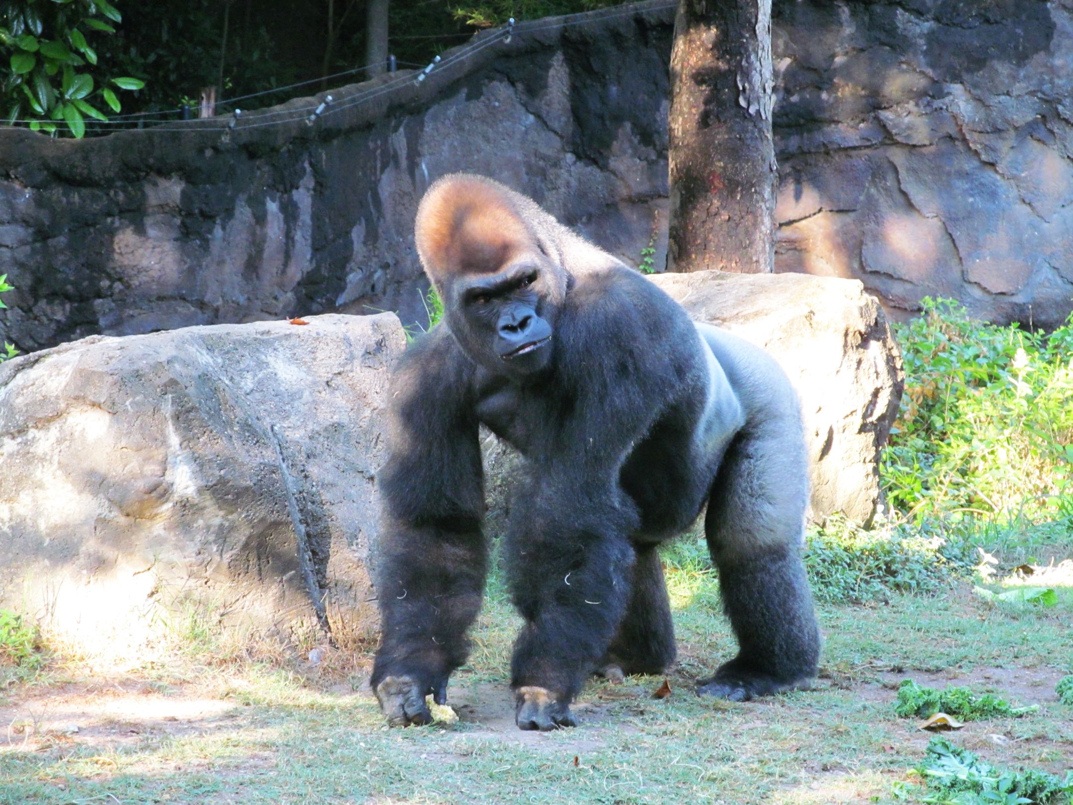 Dallas Zoo, March 2025 - Psychic Medium Andrea Knight